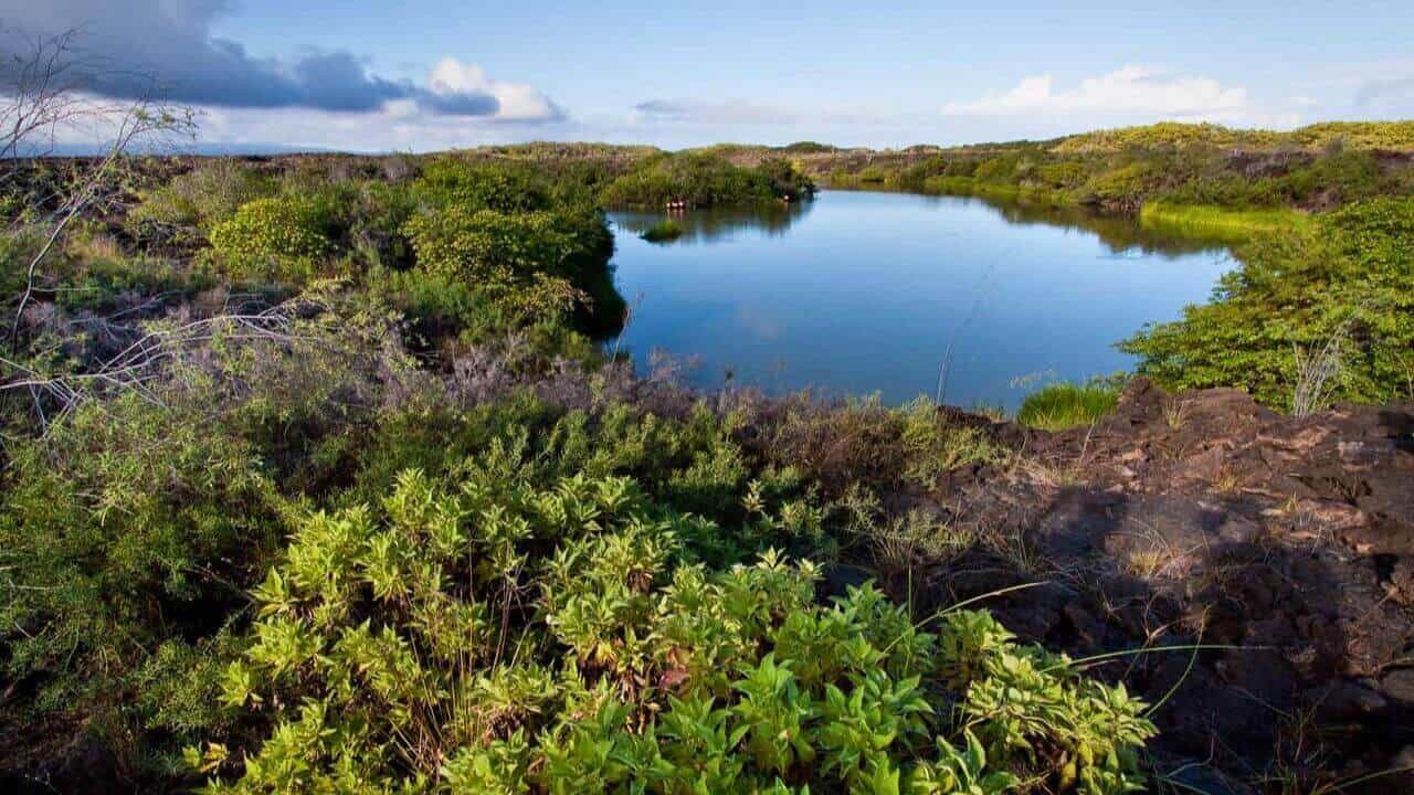 Unlock 15 Must-See Wonders In The Isabela Island Galápagos